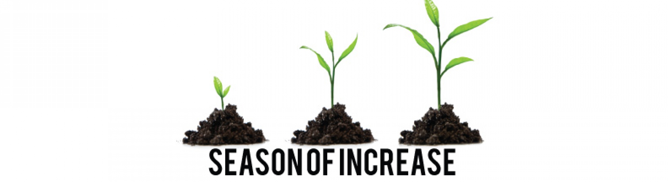 Season of Increase – Liberty Church